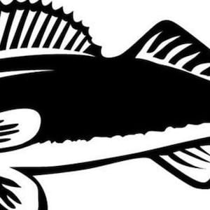 Carbide Create and SVG Walleye Fish Inlay Files for CNC - Etsy