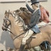 Lladro Hunting 1307 Dogs and Horses - Etsy