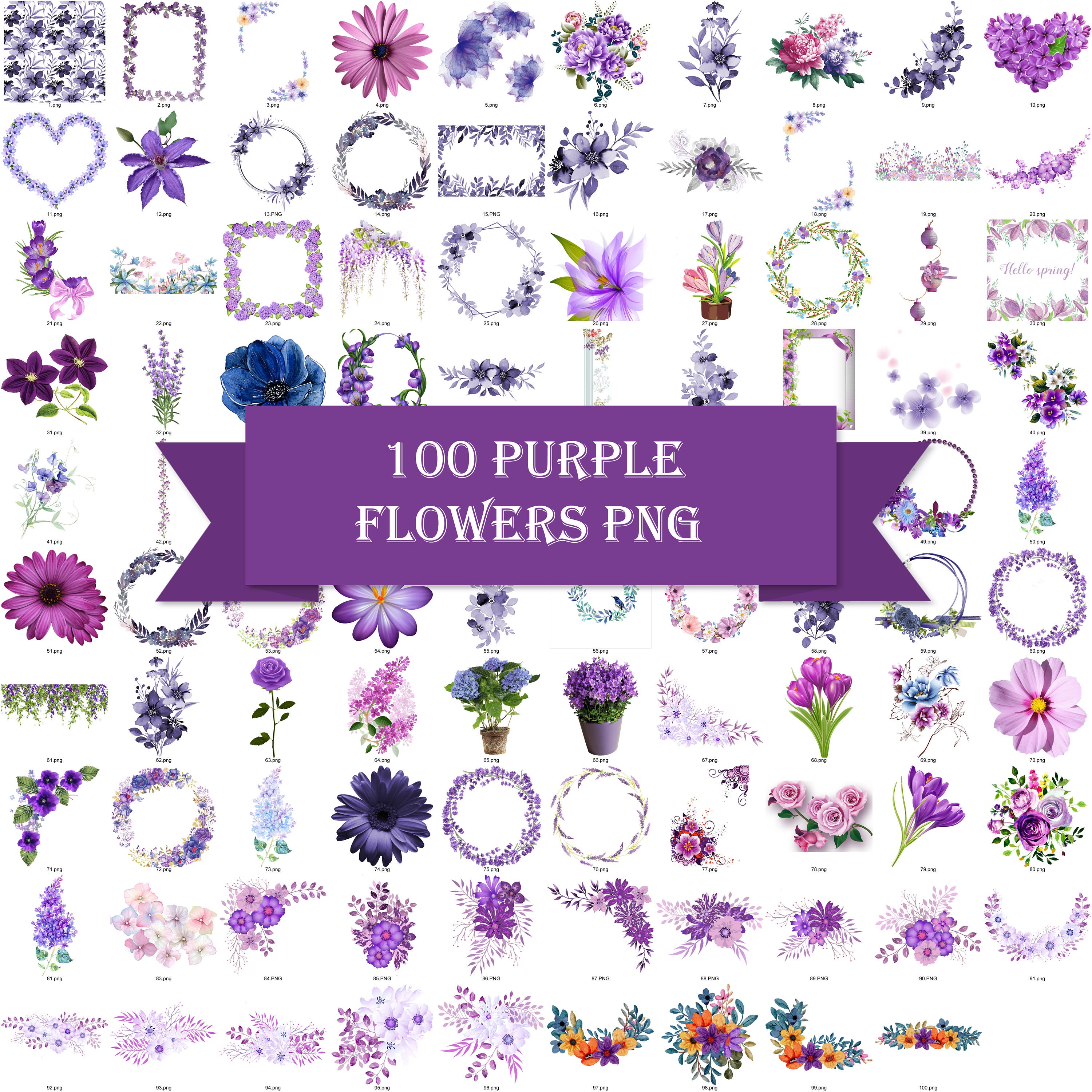 Purple Flowers Names And Pictures