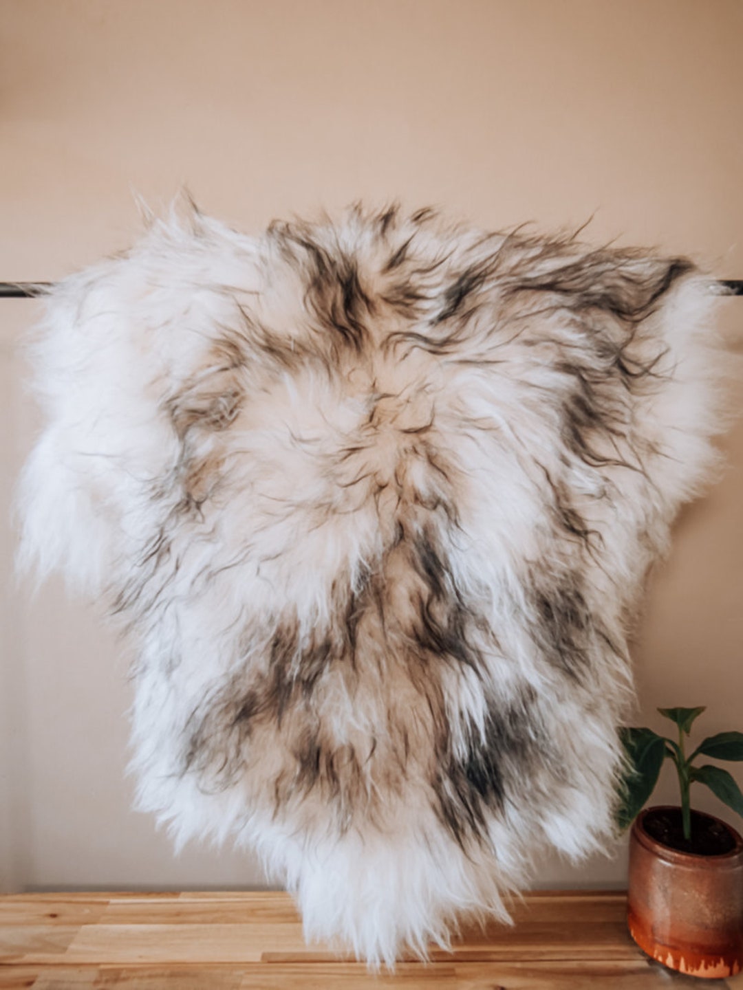 ICELANDIC Mouflon Sheepskin XXL (125cm) - Black White Mix - 100% Real ...