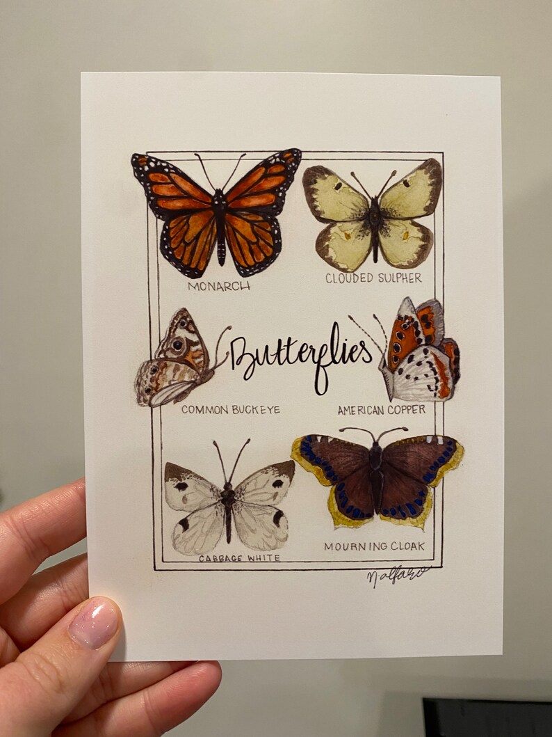 Butterflies - Etsy