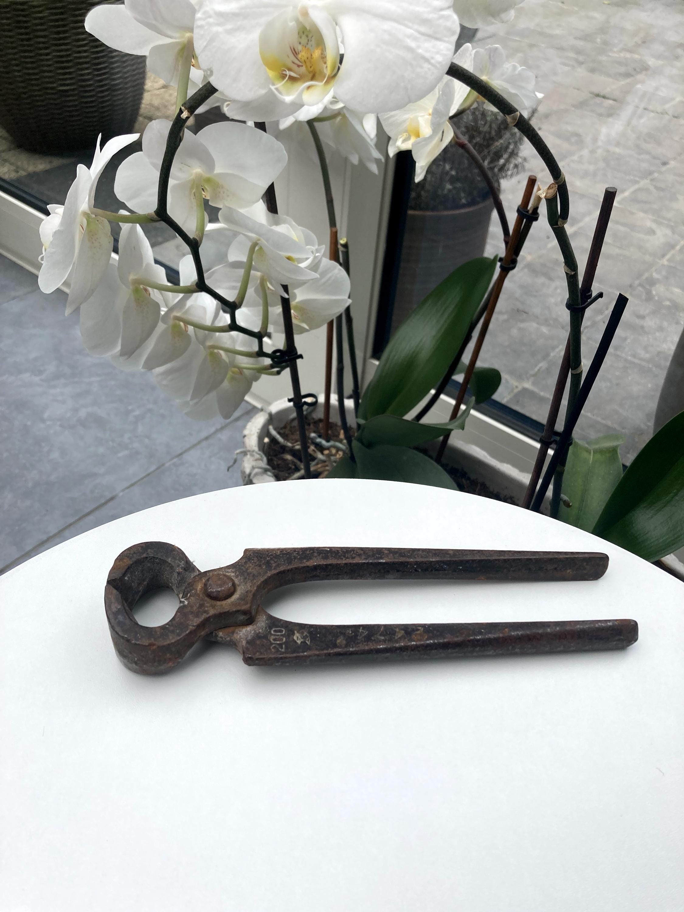 Vintage Iron Pliers - Authentic 1950s Metal Wire Cutters - Rustic Hand ...