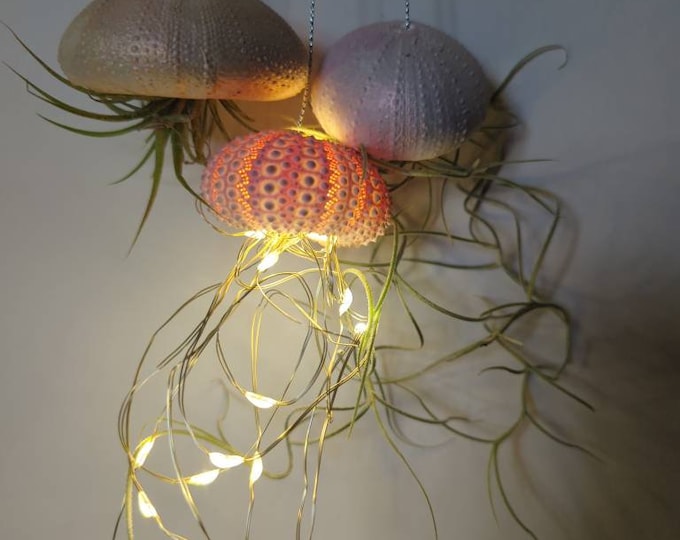 Trio of Jellyfish Planters and Lights, Two Pots Made From Clay Two Air ...