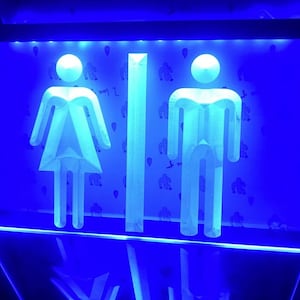 Toilets Arrow Washroom Restroom LED Neon Sign - Etsy