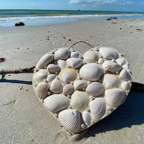 Seashell Heart - Etsy