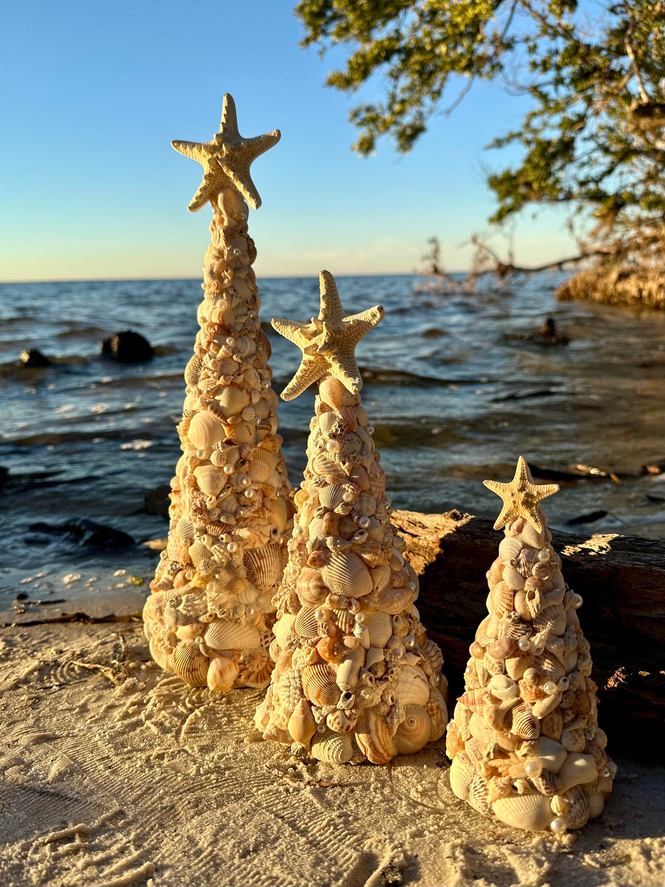 13 Seashell Christmas Tree Handmade Christmas Gifts - Etsy