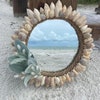 11 Seashell Conch Mirror Nautical Decor, Coastal Living, Seashell Decor ...