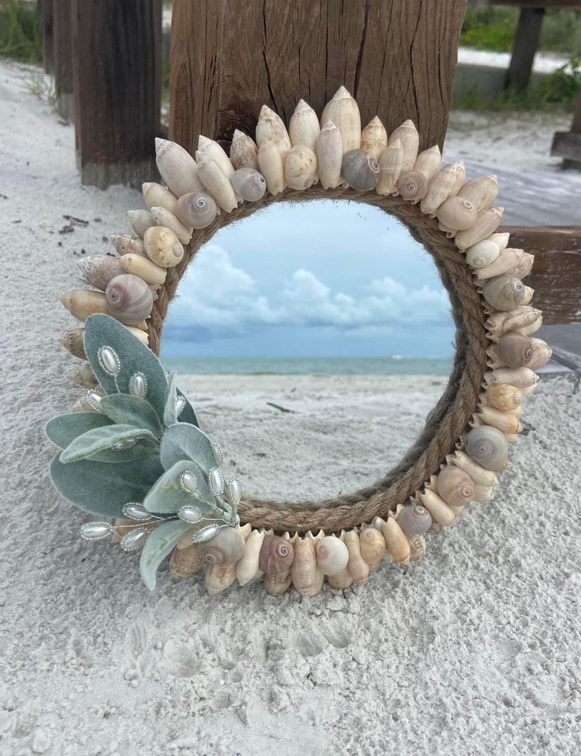 9" Seashell Olive and Shark Eye Mirror - Nautical Decor, Coastal Living ...
