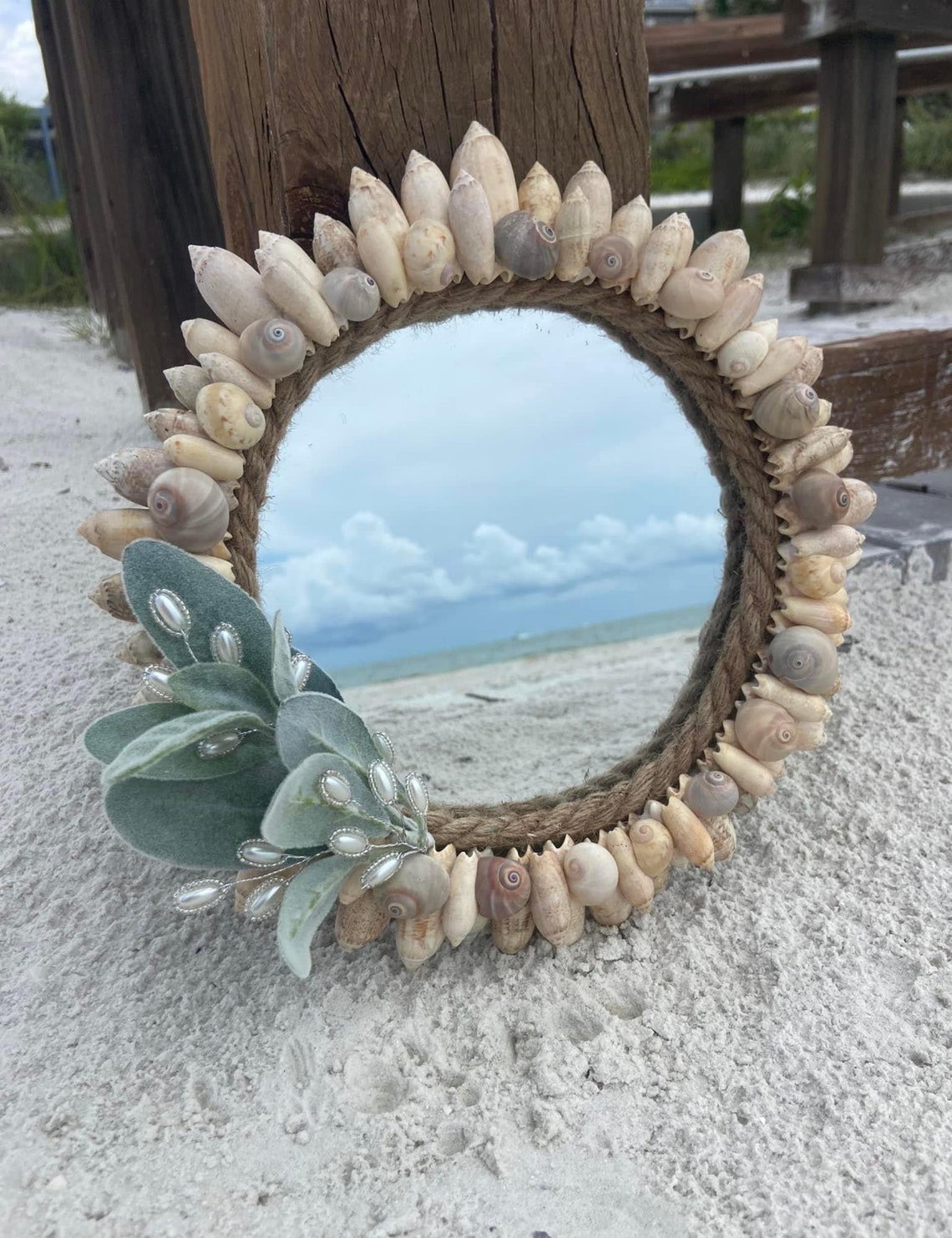 9" Seashell Olive and Shark Eye Mirror - Nautical Decor, Coastal Living ...