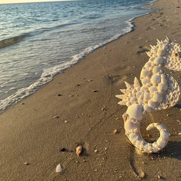 Seashell Seahorse - Etsy