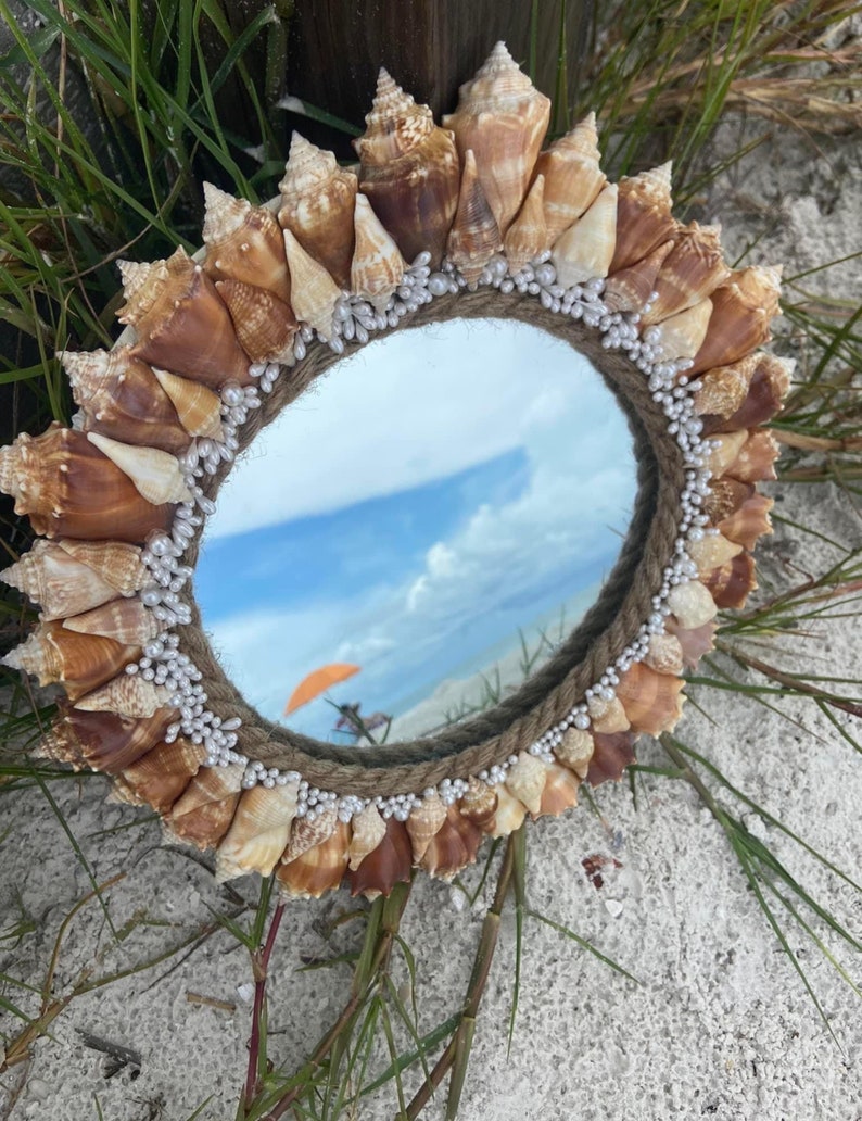 11 Seashell Conch Mirror Nautical Decor, Coastal Living, Seashell Decor ...