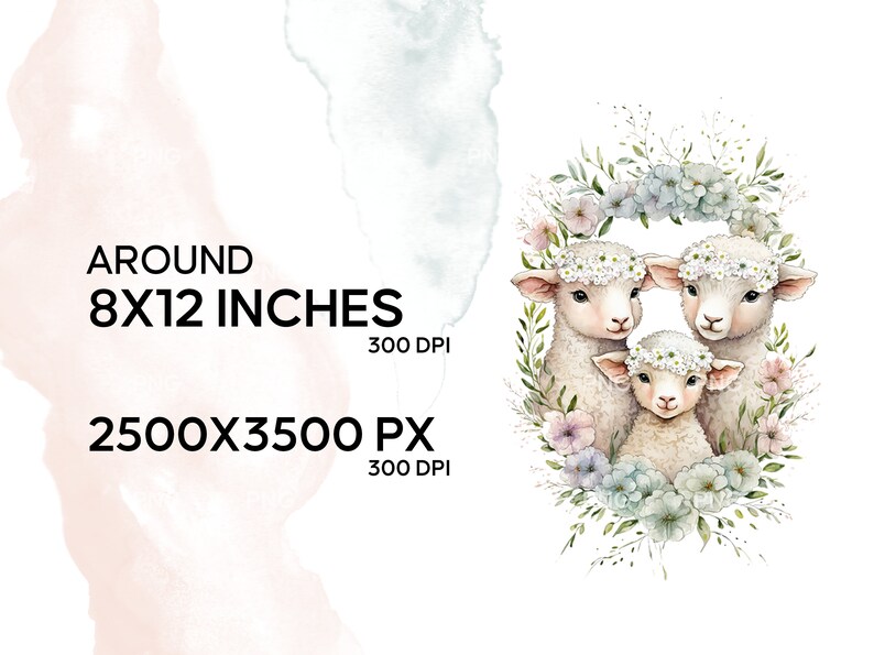 Watercolour Spring Lambs Clipart Easter Lambs PNG Digital Image ...