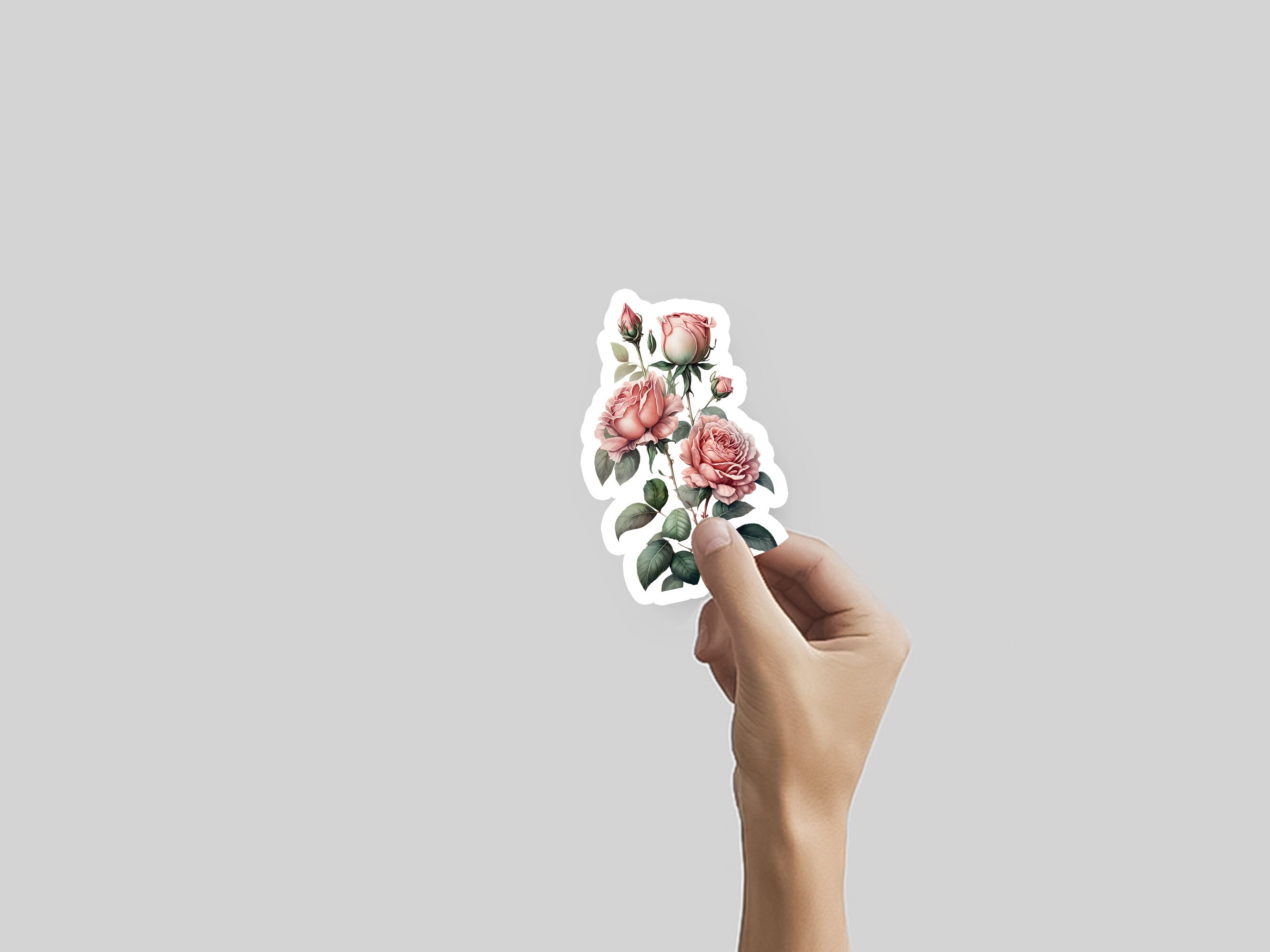 Watercolor Vintage Pink Rose Clipart Vintage Lady PNG - Etsy