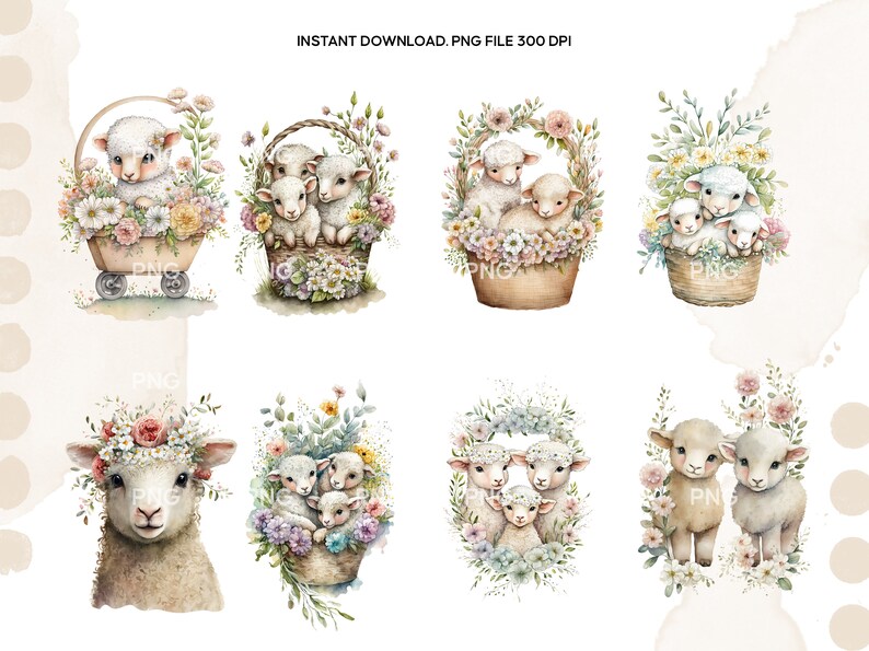 Watercolour Spring Lambs Clipart Easter Lambs PNG Digital Image ...