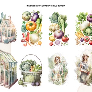 Vegetable/fruit Clip Art, Veggie Clipart, Bundle of 5, Garden Vegetable ...