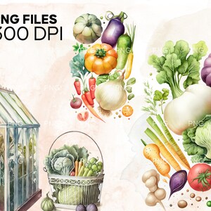 Vegetable/fruit Clip Art, Veggie Clipart, Bundle of 5, Garden Vegetable ...