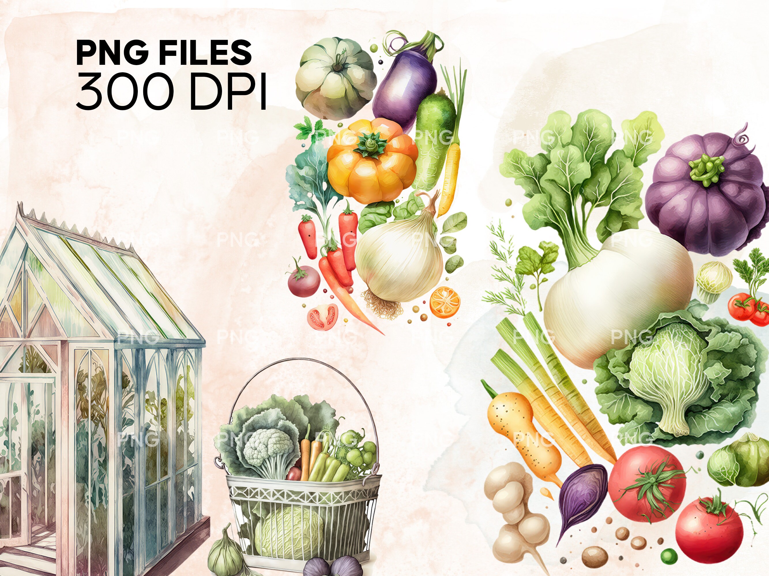 Vegetable/fruit Clip Art, Veggie Clipart, Bundle of 5, Garden Vegetable ...