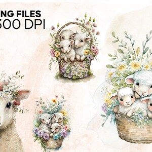 Watercolour Spring Lambs Clipart Easter Lambs PNG Digital Image ...