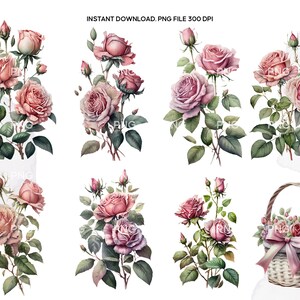 Watercolor Vintage Pink Rose Clipart Vintage Lady PNG Digital Image ...