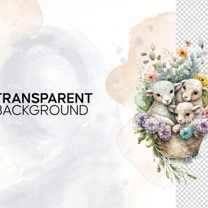 Watercolour Spring Lambs Clipart Easter Lambs PNG Digital Image ...