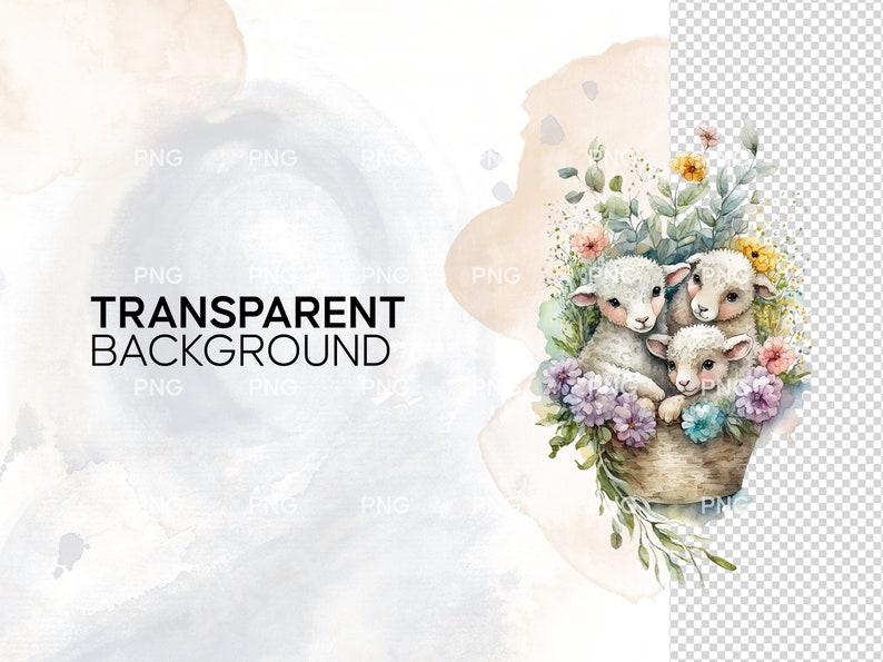 Watercolour Spring Lambs Clipart Easter Lambs PNG Digital Image ...