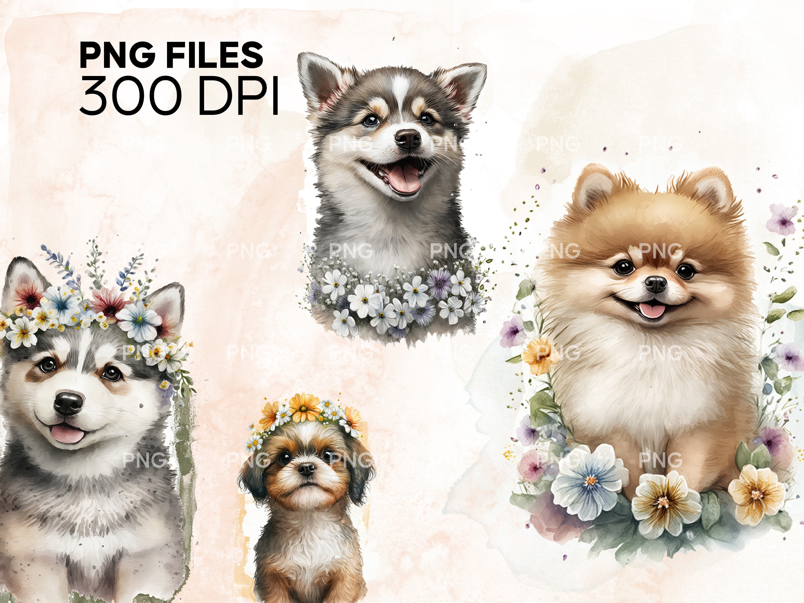 Dogs Png Cute Puppy Pets Clipart Bundle Cute Dogs Clipart - Etsy