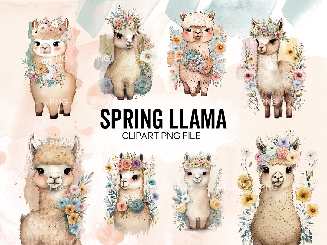 Watercolor Spring Llama Clipart Easter Llamas PNG Digital Image ...