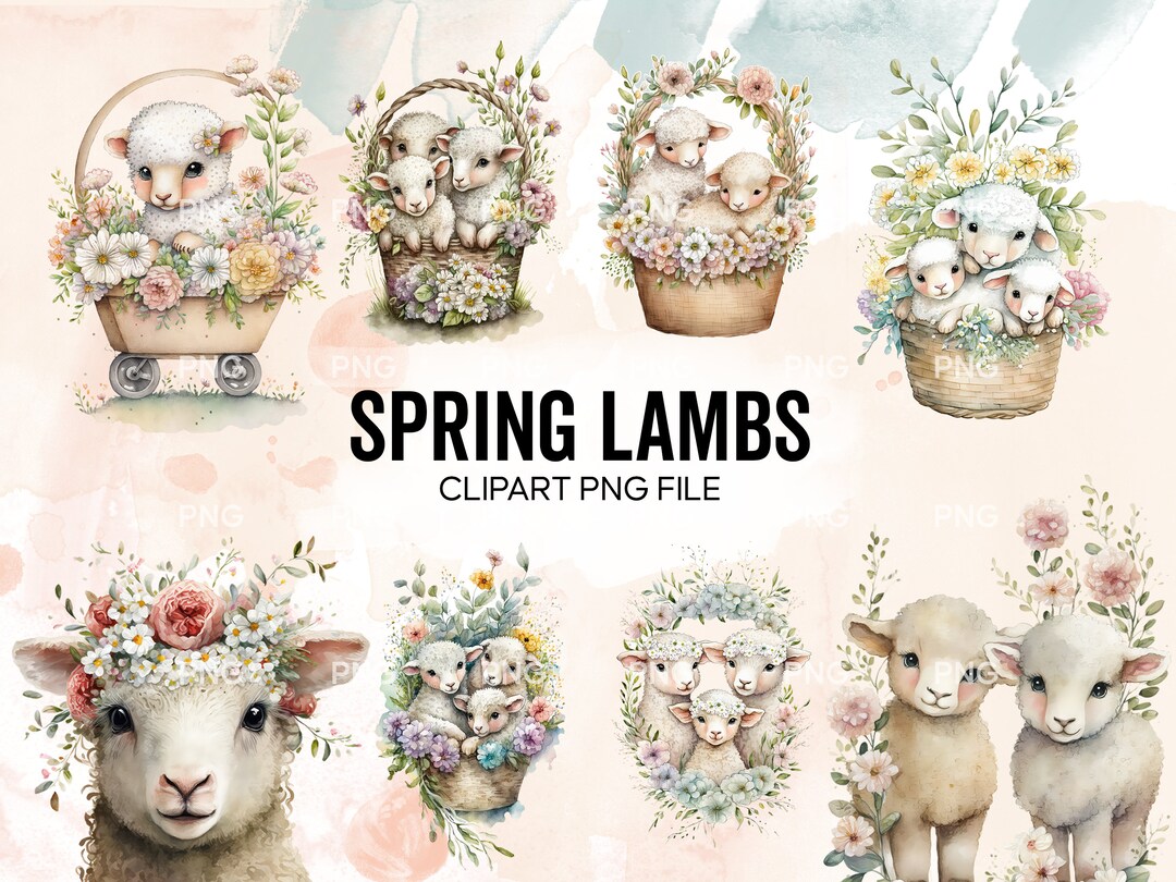 Watercolour Spring Lambs Clipart Easter Lambs PNG Digital Image ...