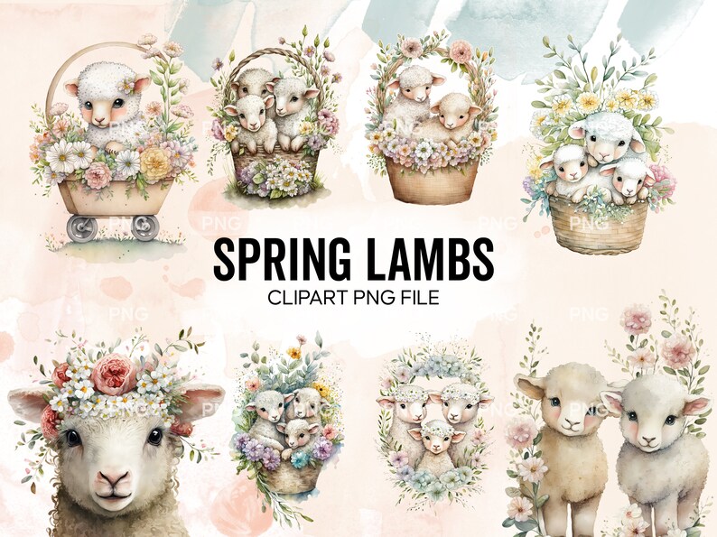 Watercolour Spring Lambs Clipart Easter Lambs PNG Digital Image ...