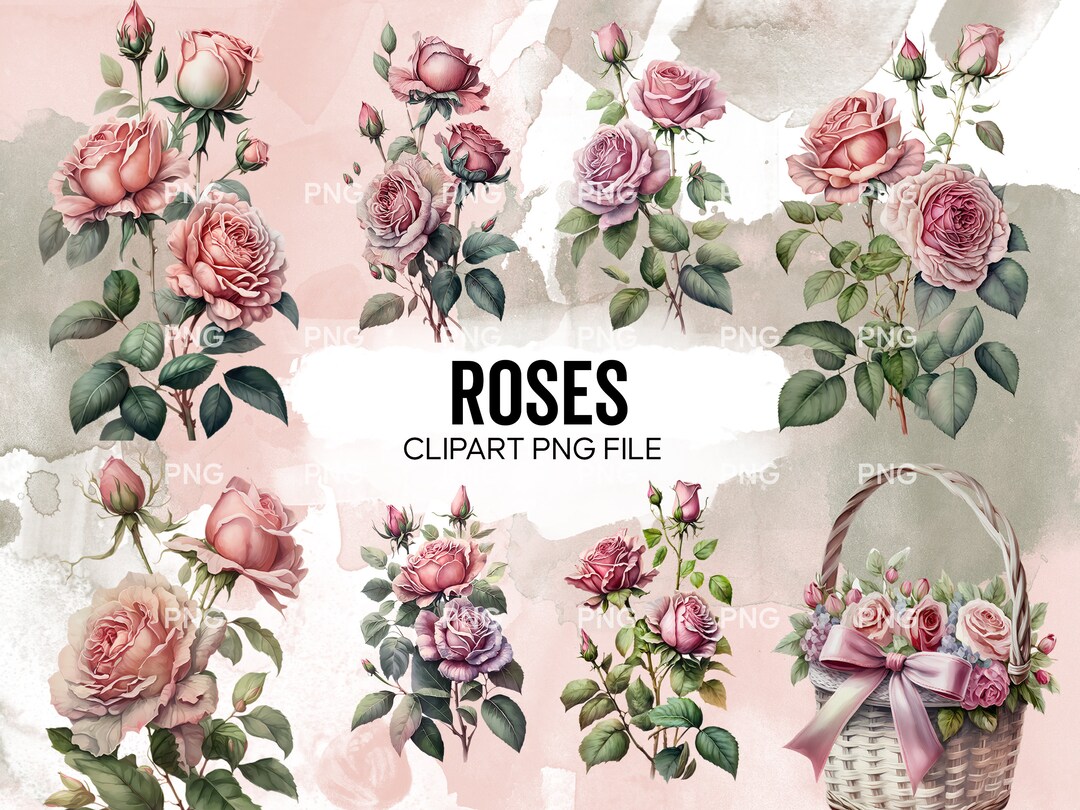 Watercolor Vintage Pink Rose Clipart Vintage Lady PNG Digital Image ...