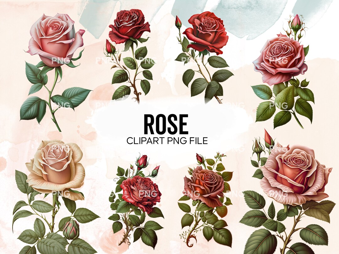 Red Rose Watercolor Watercolor Roses Red Roses Watercolor - Etsy