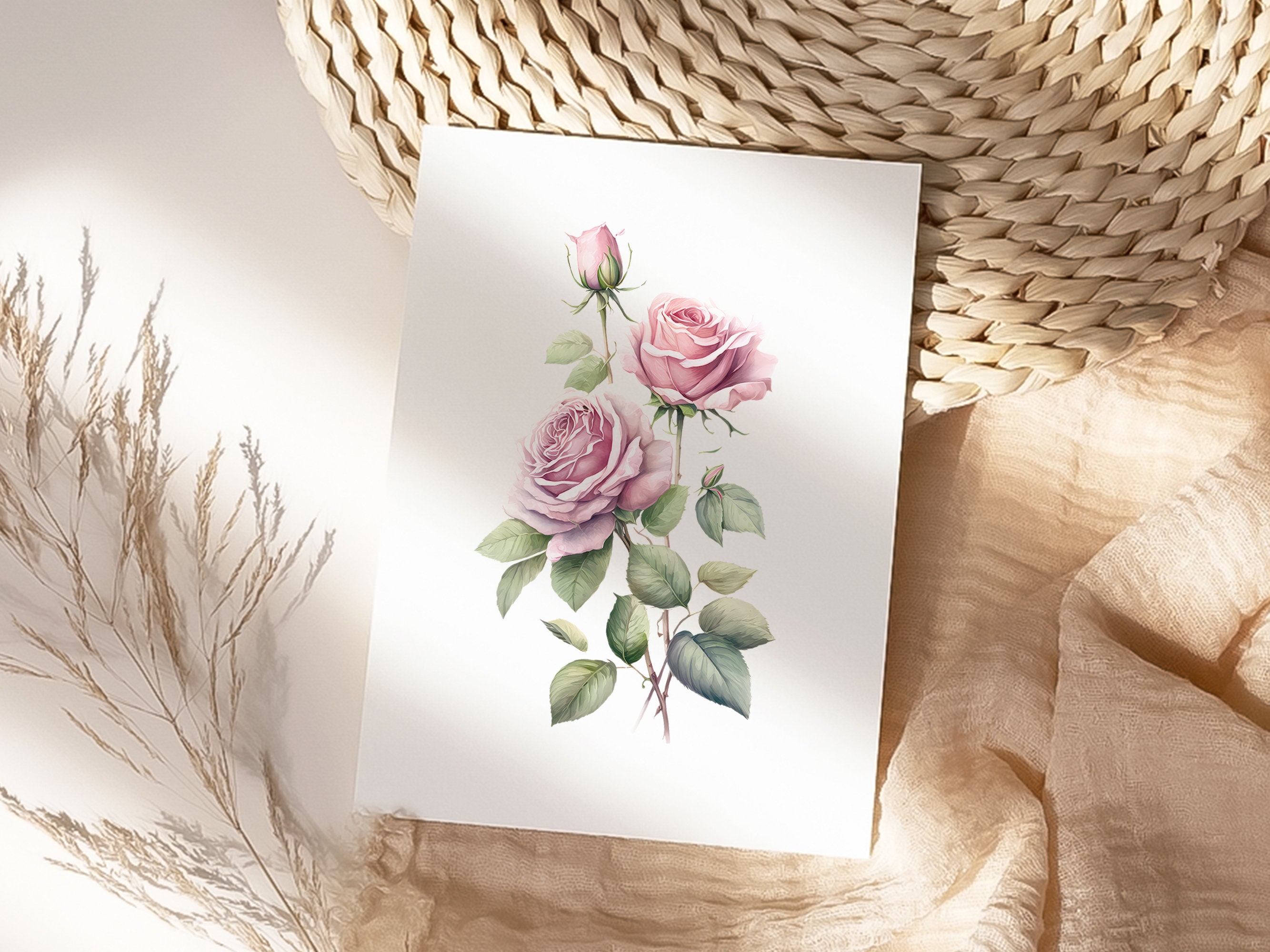 Watercolor Vintage Pink Rose Clipart Vintage Lady PNG - Etsy