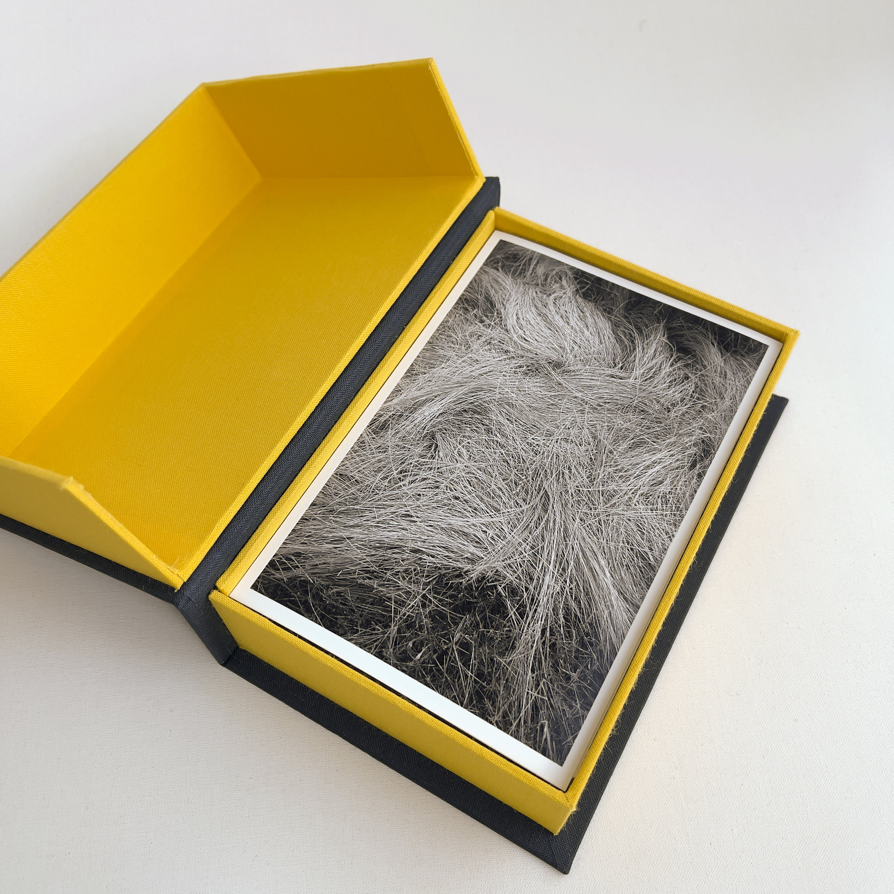4"x6" Clamshell Box for Portfolio, Presentation and Archival Storage ...
