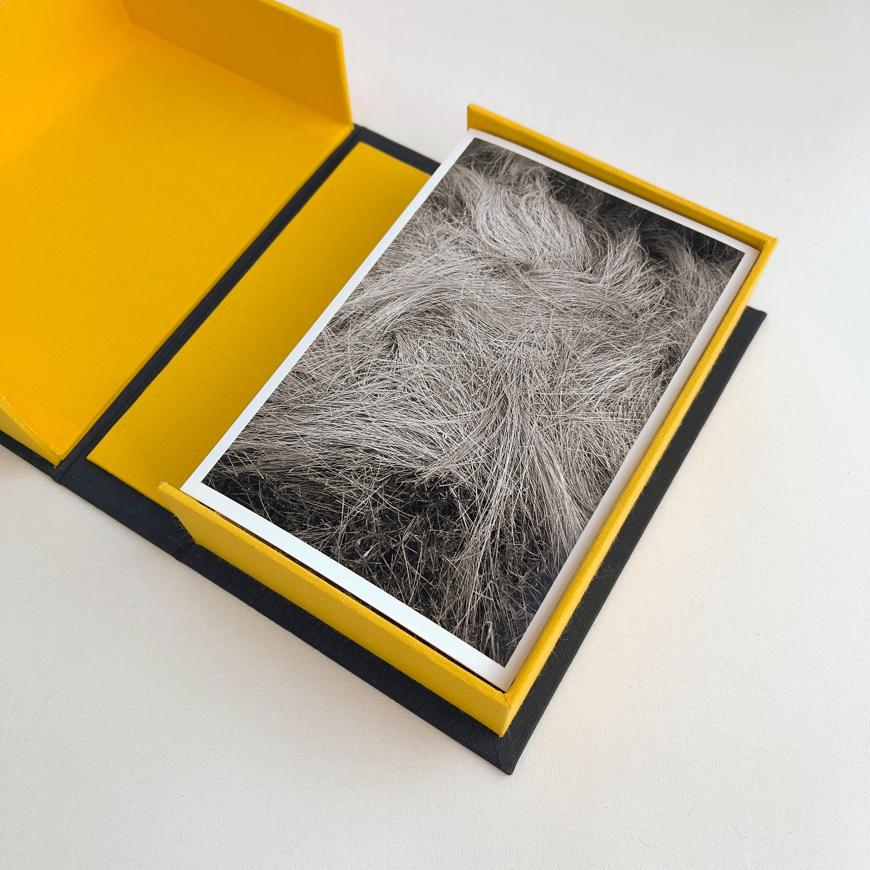 4x6 Clamshell Box for Portfolio, Presentation and Archival Storage. - Etsy