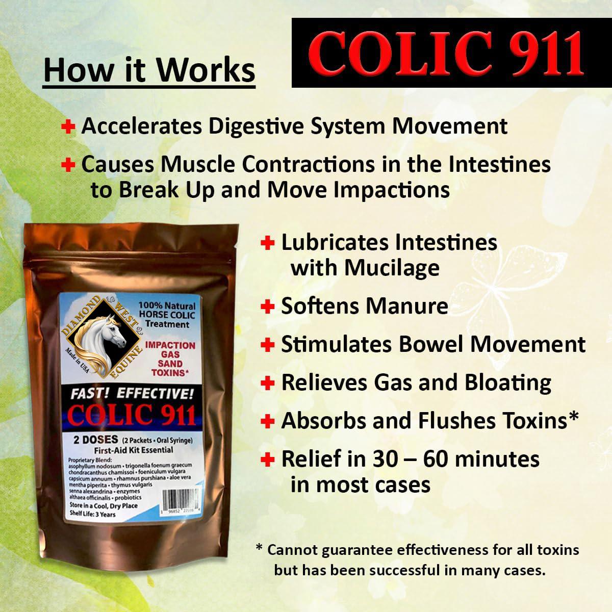 Colic 911 - TREAT HORSE COLIC in 30-60 Minutes!* Revolutionary Natural ...