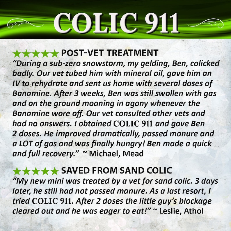 Colic 911 - TREAT HORSE COLIC in 30-60 Minutes!* Revolutionary Natural ...