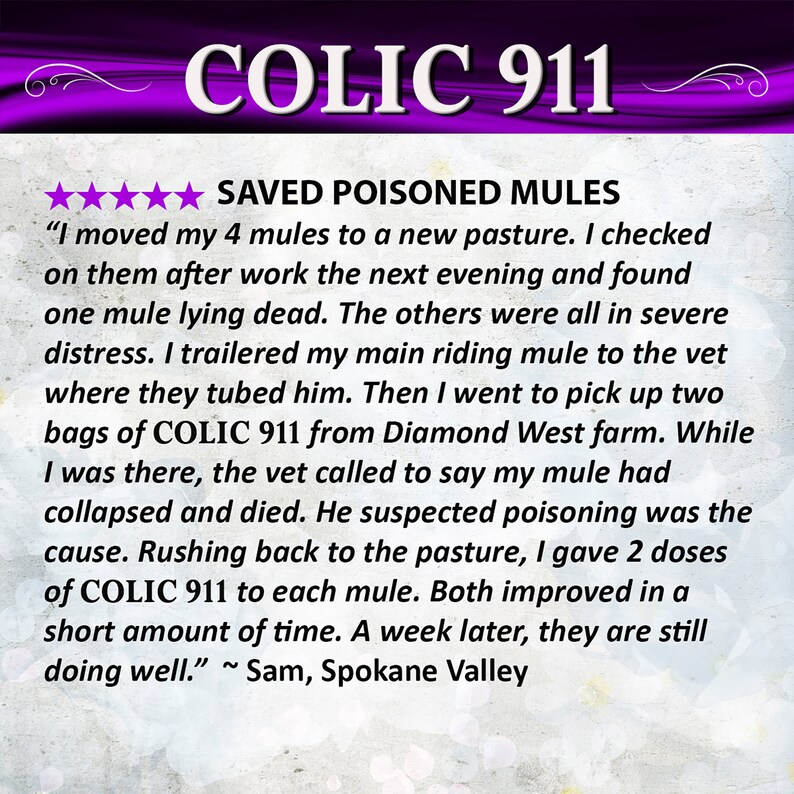 CURE HORSE COLIC in 30-60 Minutes!* Revolutionary, Fast-acting Formula ...