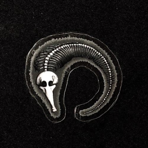 VS067 Worm on a String Medusa Vinyl Sticker / Y2K Kidcore - Etsy