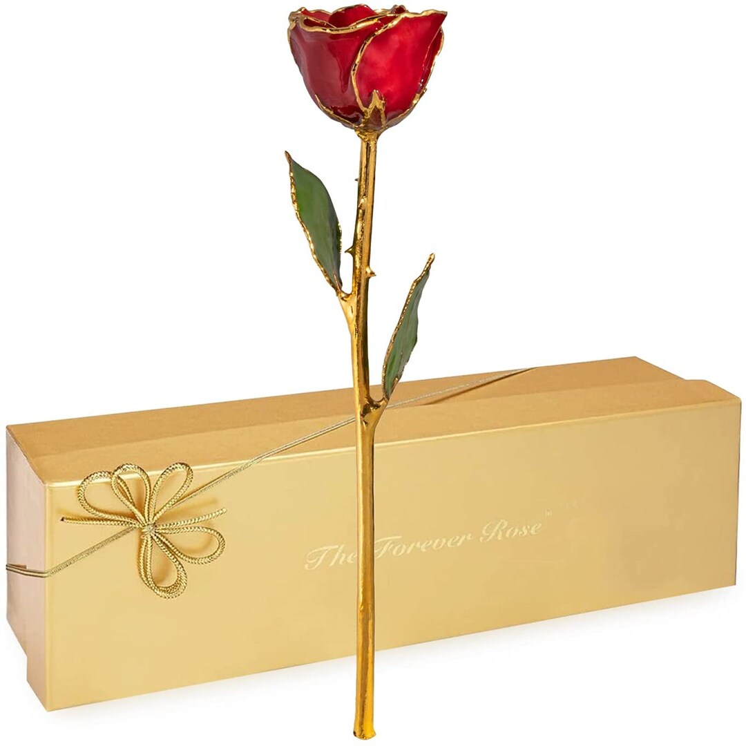 Forever Rose Real Red Rose, Genuine One of a Kind Rose Hand Dipped in ...