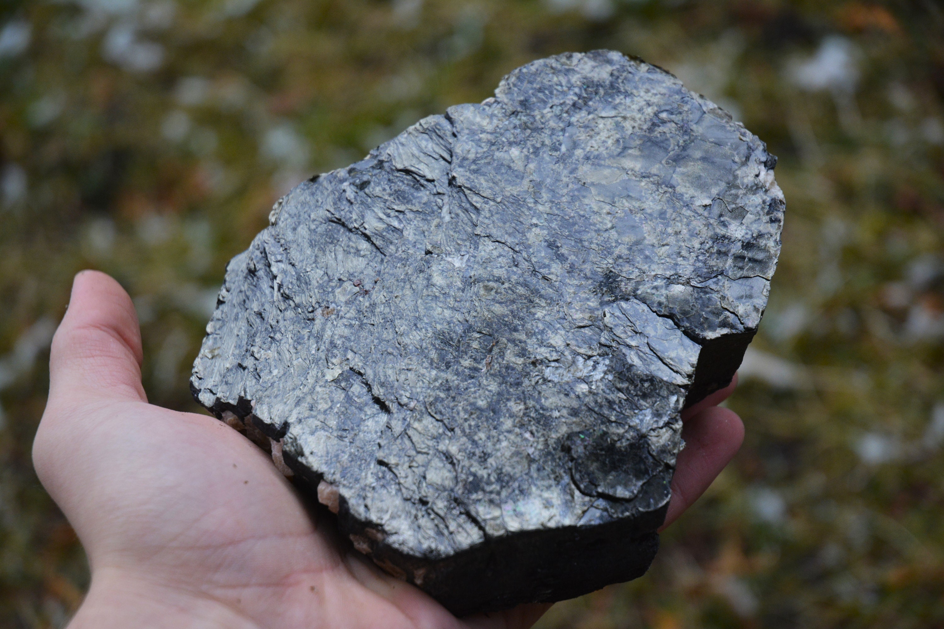 BIOTITE MICA CRYSTALS From Cardiff, Ontario, Canada - Etsy