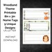 Woodland Theme Name Tags, Desk Name Plates, Preschool Classroom Decor ...