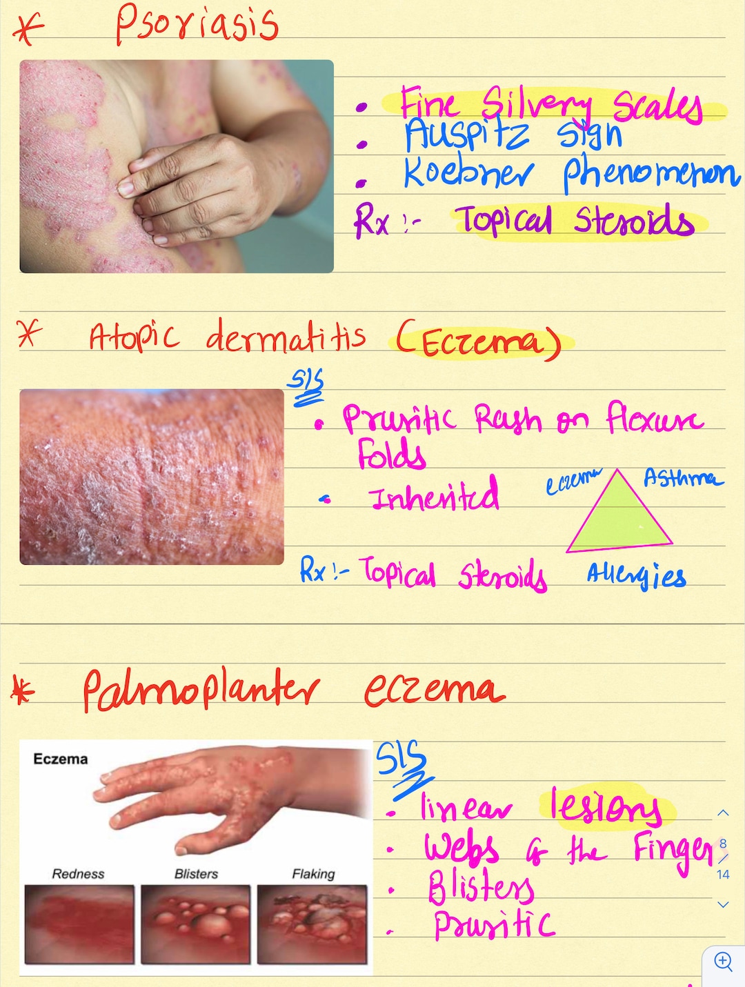 5 Guides Bundle for FNP and AGNP Review Study-guides- Ent, Skin ...