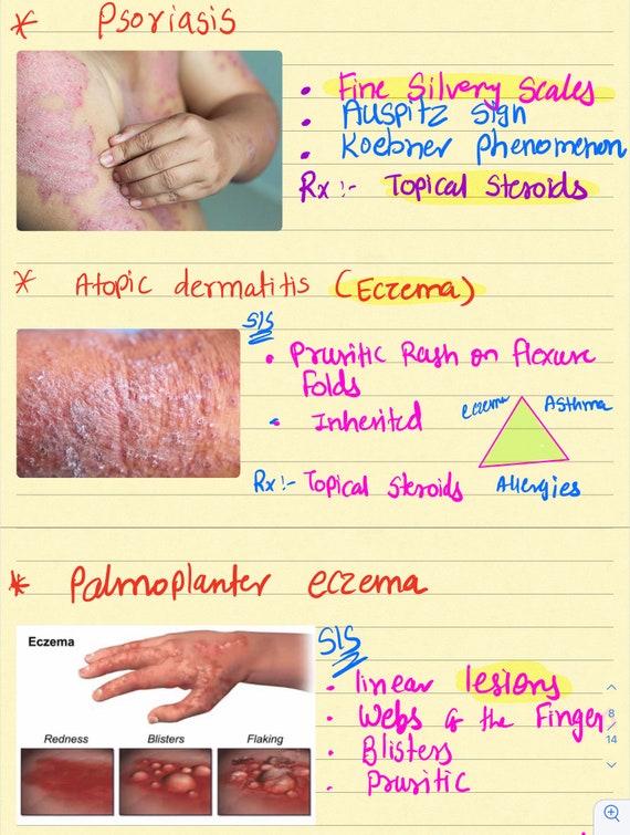 5 Guides Bundle for FNP and AGNP Review Study-guides Ent | Etsy