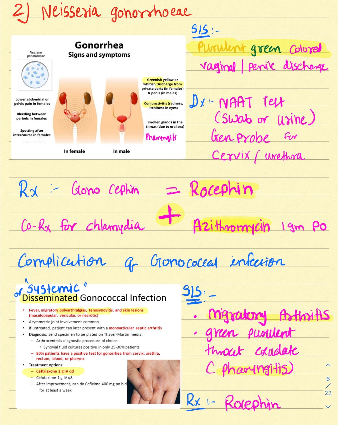 5 Study Guides FNP and AGNP Review Study Guides Musculoskeletal, Mens ...