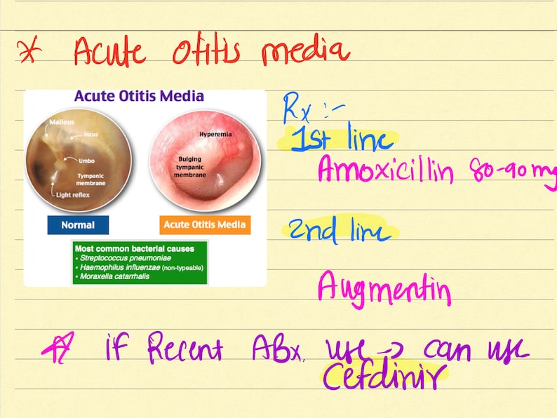5 Guides Bundle for FNP and AGNP Review Study-guides- Ent, Skin ...