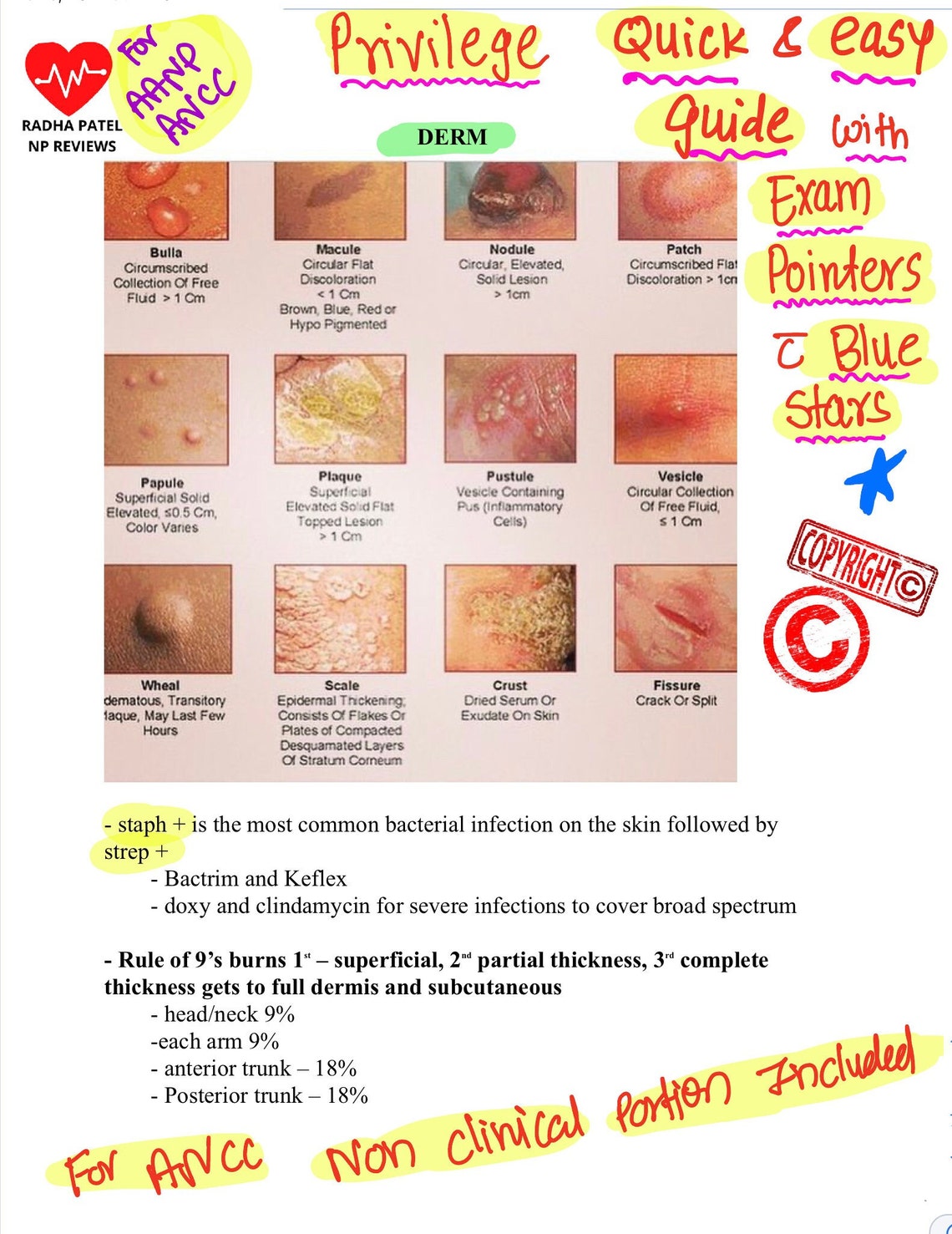 66 Pages of Privilege Guide 100% for Fnp/agnp/ancc/aanp - Etsy