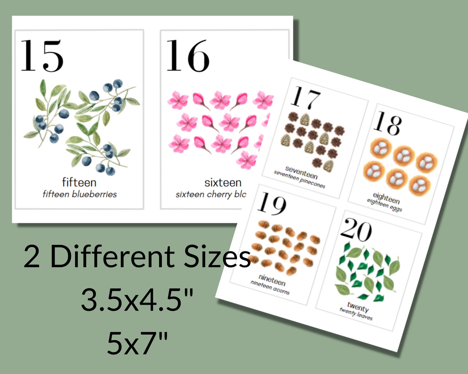 Charlotte Mason Preschool Counting Flashcards Nature Number - Etsy