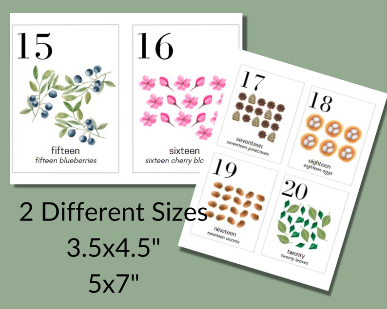 Charlotte Mason Preschool Counting Flashcards Nature Number - Etsy