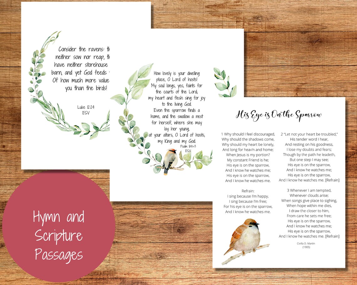 Charlotte Mason Morning Time Birds Morning Basket Resources - Etsy