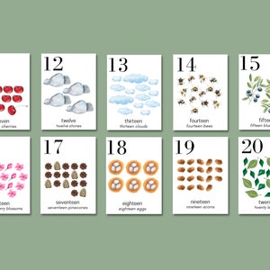 Charlotte Mason Preschool Counting Flashcards | Nature Number Cards 1 ...